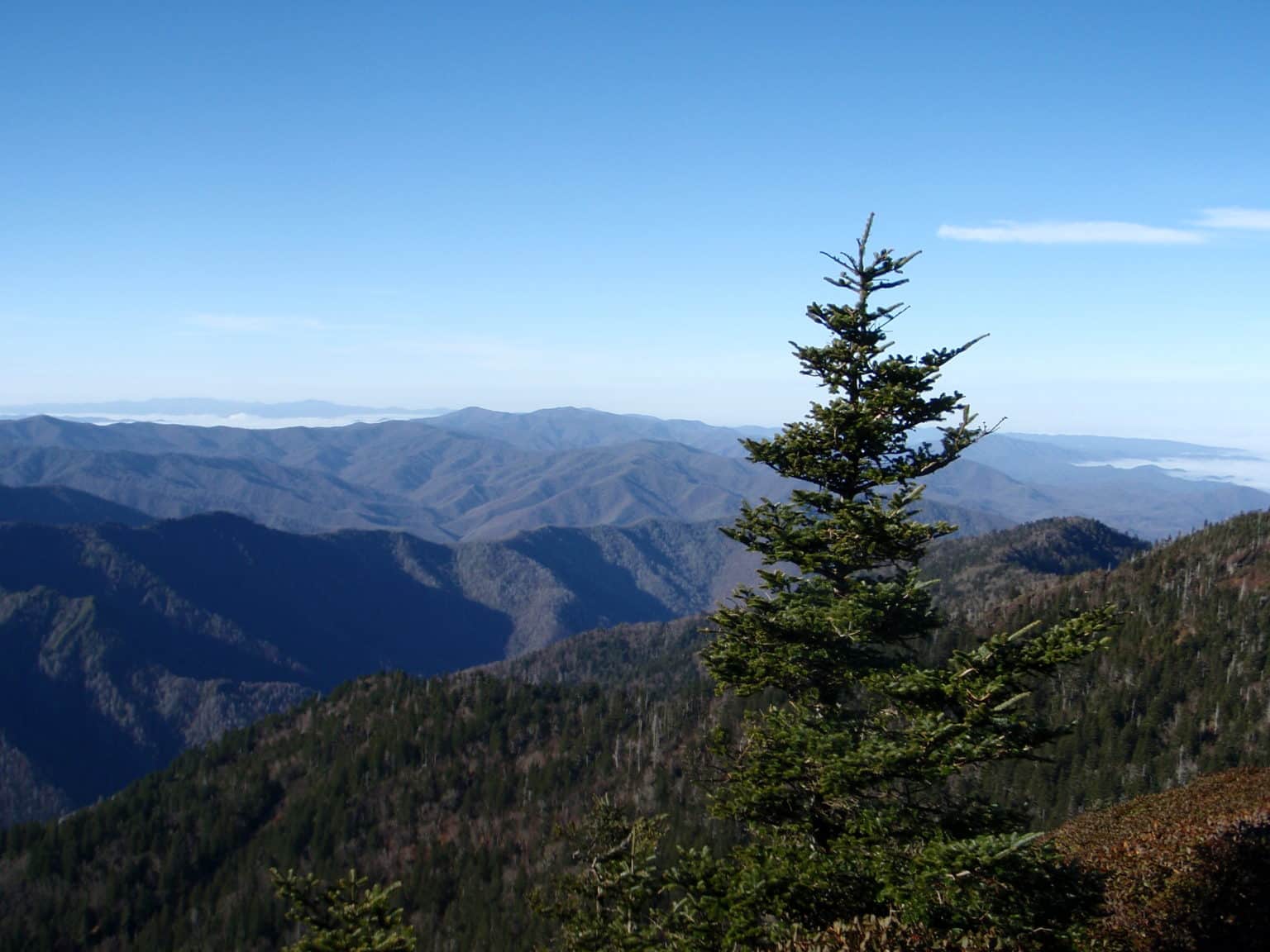 Hiking to Mount LeConte Lodge - SOLITUDE SPORTS